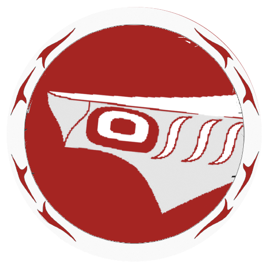 HP_Project Echo | BCMHSUS Competency Toolkit